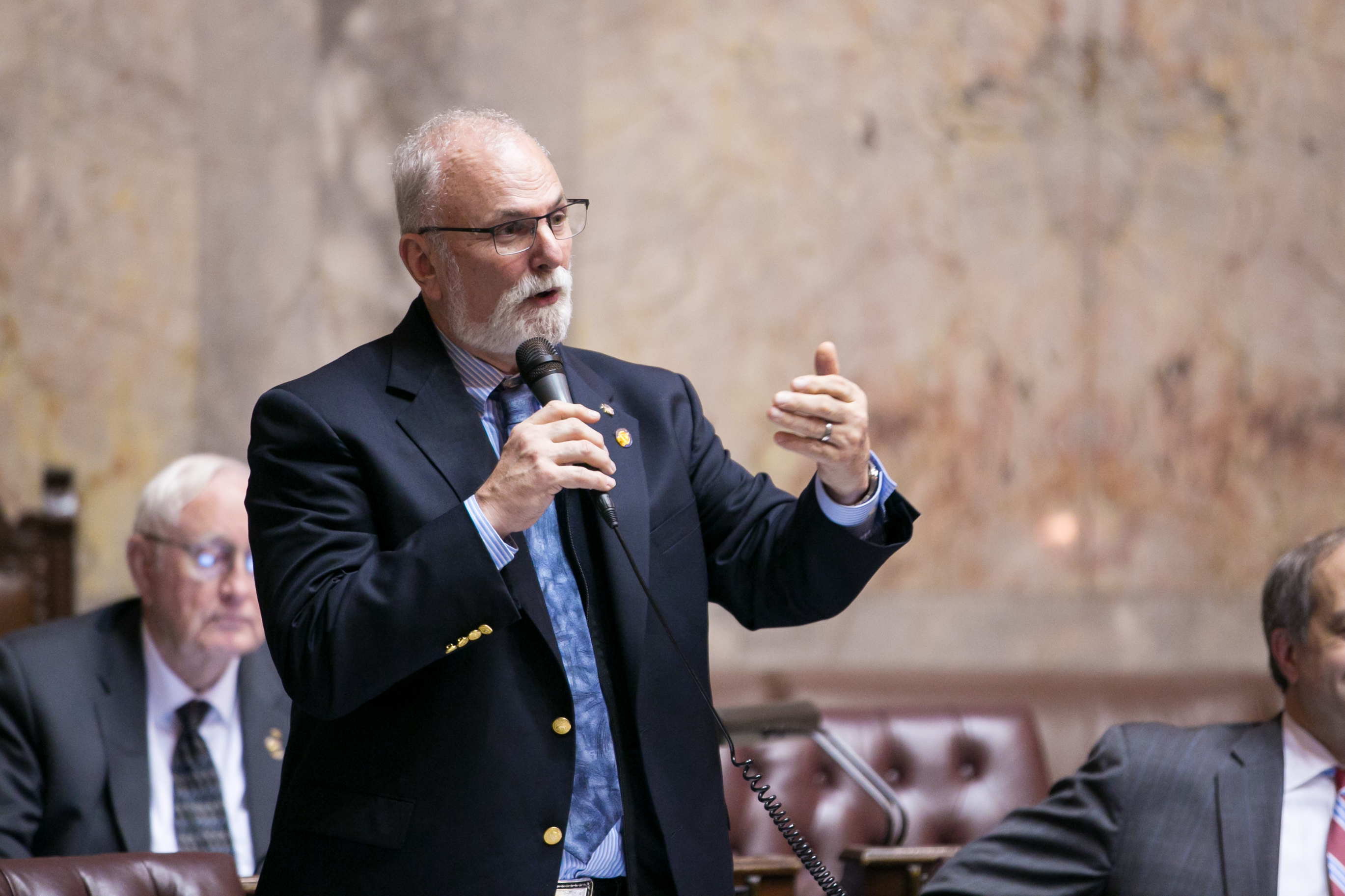 Fortunato votes for Hirst fix and capital budget - Phil Fortunato